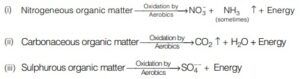 Population Equivalent - MADE EASY